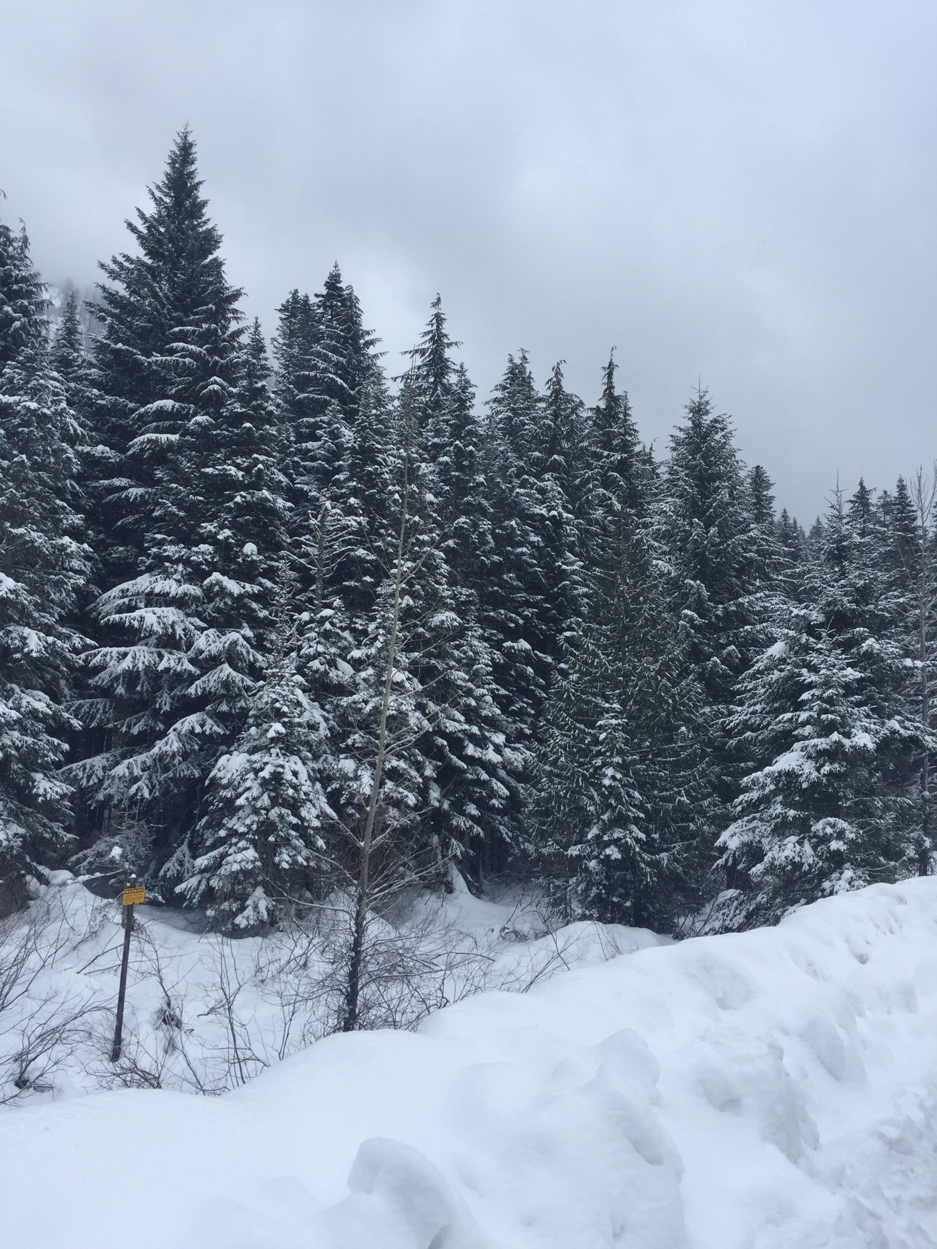 Christian Science in Burien, Washington